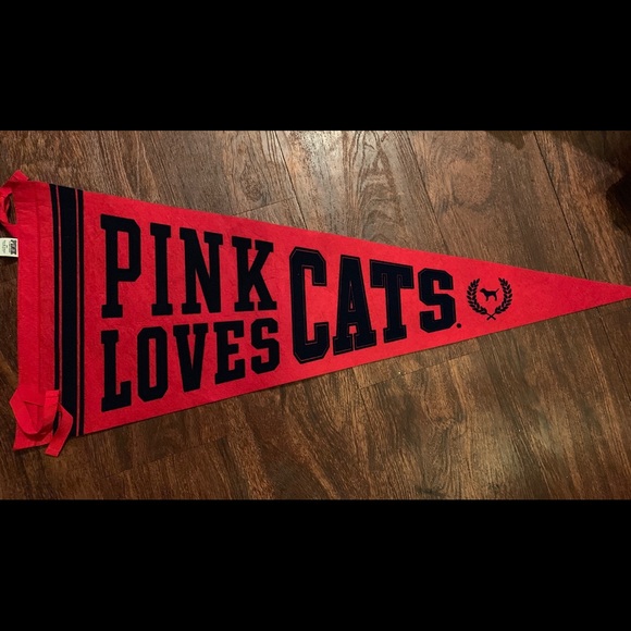 PINK Victoria's Secret | Other | Vs Pink Collegiate Pennant | Poshmark